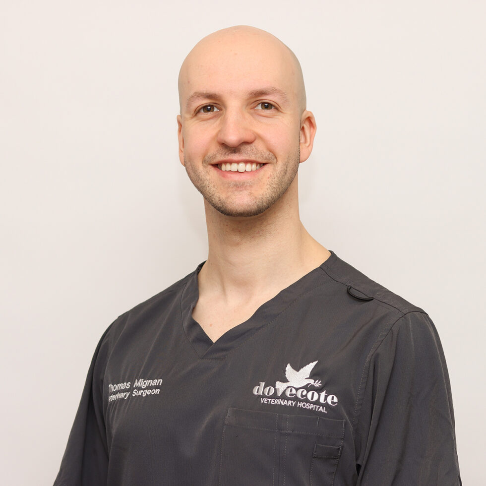 Thomas Mignan - Dovecote Veterinary Hospital