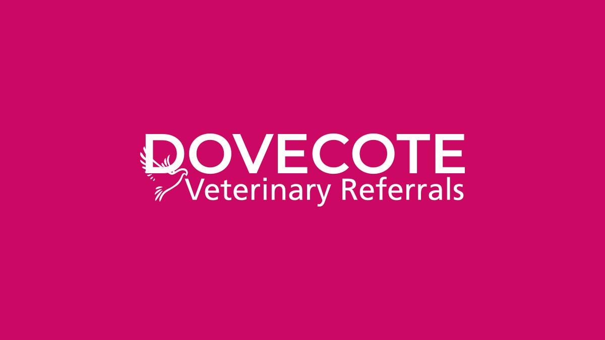 Contact Us | Dovecote Veterinary Referrals